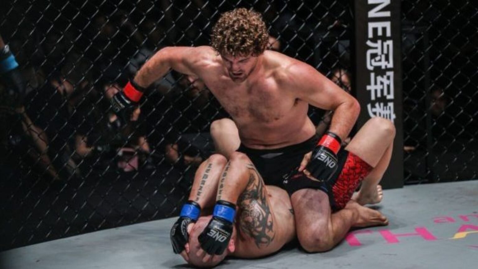 The Evolution of Cage Fighting from Early Matches to Today